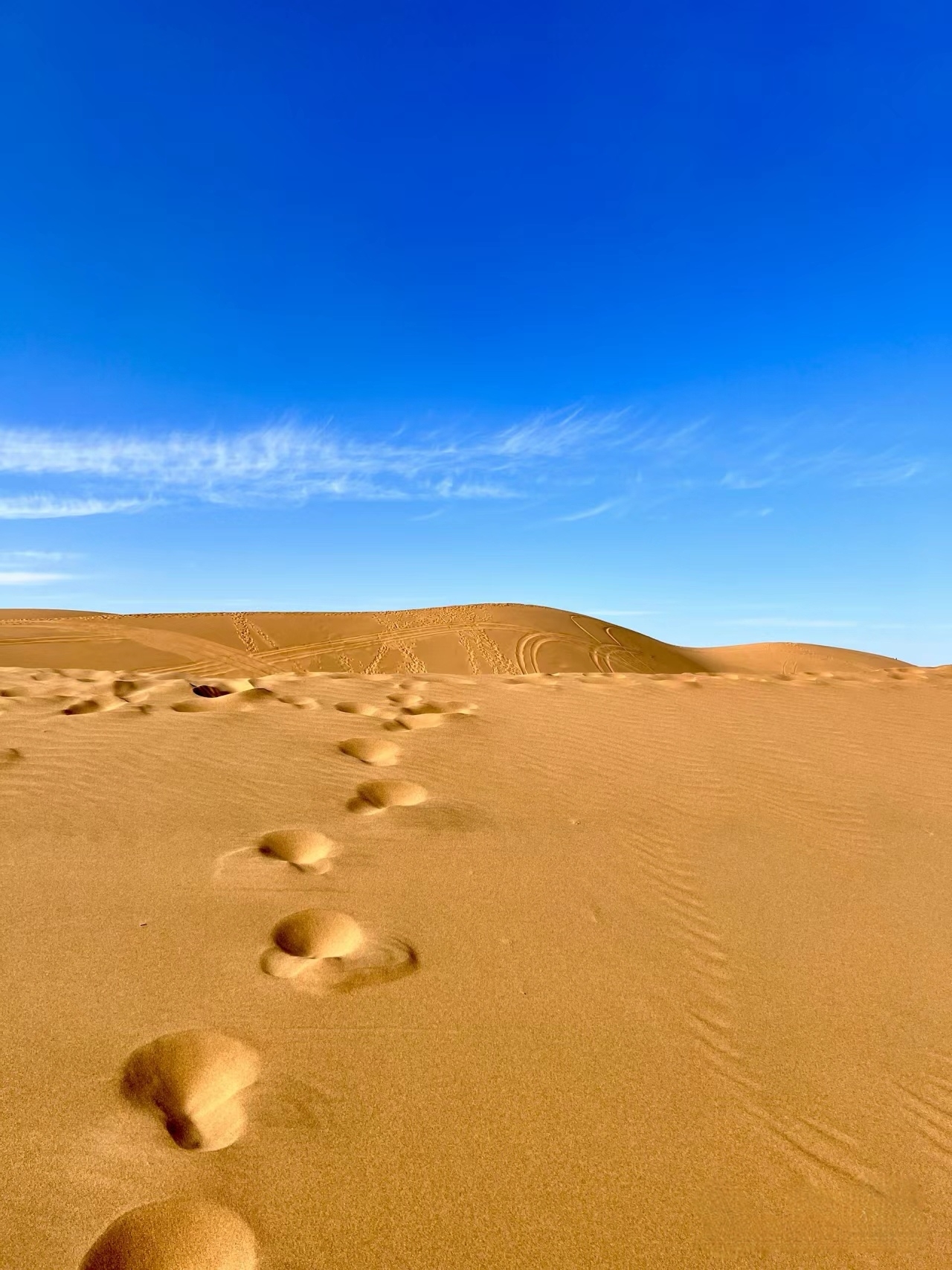 Things to Do in Wuhai in 2025 - Top Attractions, Local Food, Hotels ...