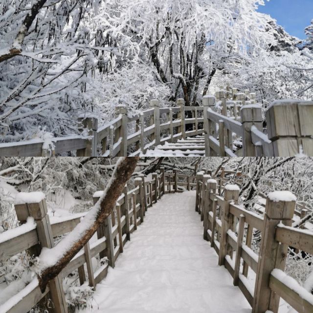 If you want to see snow in winter in Chengdu, come to Xiling Snow ...