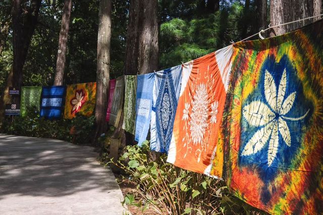 One-Day Tour of Cangshan Ximatan｜A Wonderland and Challenge at 3,900 ...