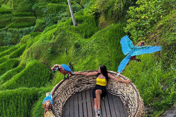 🪴 Ceking Rice Terrace 🇮🇩 | Trip.com Bali