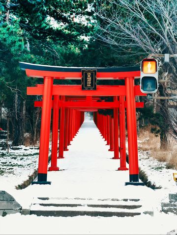 Explore Fushimi Inari Shrine | Trip.com Kyoto