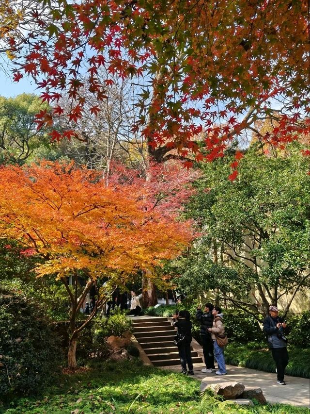 Chic Autumn Views | Trip.com Hangzhou