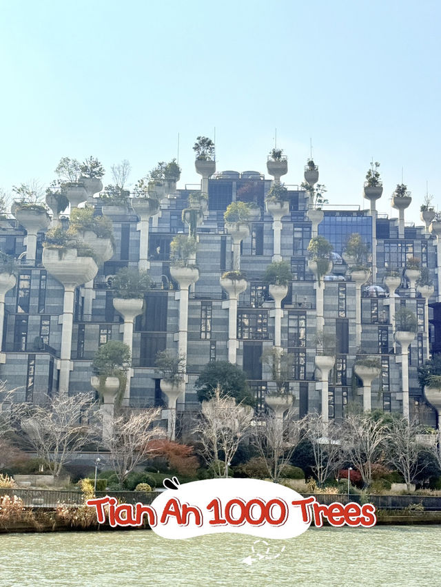 Tian An 1000 Trees | Trip.com เซี่ยงไฮ้
