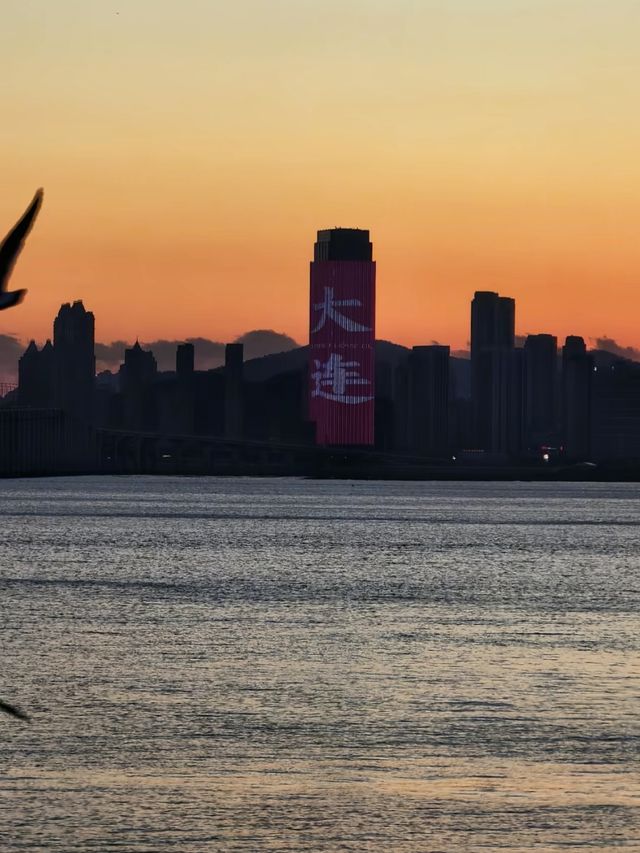 Dalian Xinghai Square Full Guide: Sunset Seagulls and the Cross-Sea ...