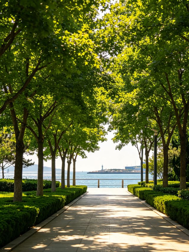 Qingdao Olympic Sailing Center｜The Ultimate Summer Seaside Vibe | Trip ...