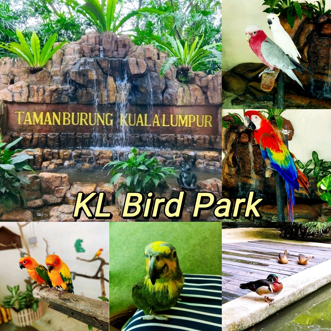 Kuala Lumpur Bird Park