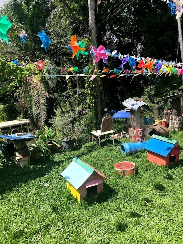 The Rainbow House - Rabbit and Stingless Bee Farm | Trip.com Sandakan ...