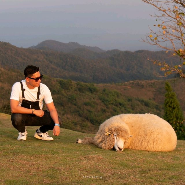 ️ 𝗔𝗸𝗵𝗮 𝗙𝗮𝗿𝗺 𝗩𝗶𝗹𝗹𝗲 ️ | Trip.com อำเภอ แม่สรวย