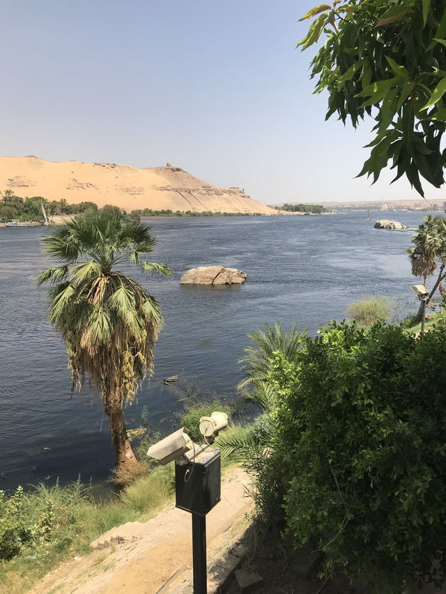 Aswan’s Serene Birdwatching Escape: Nature at Your Fingertips | Trip ...
