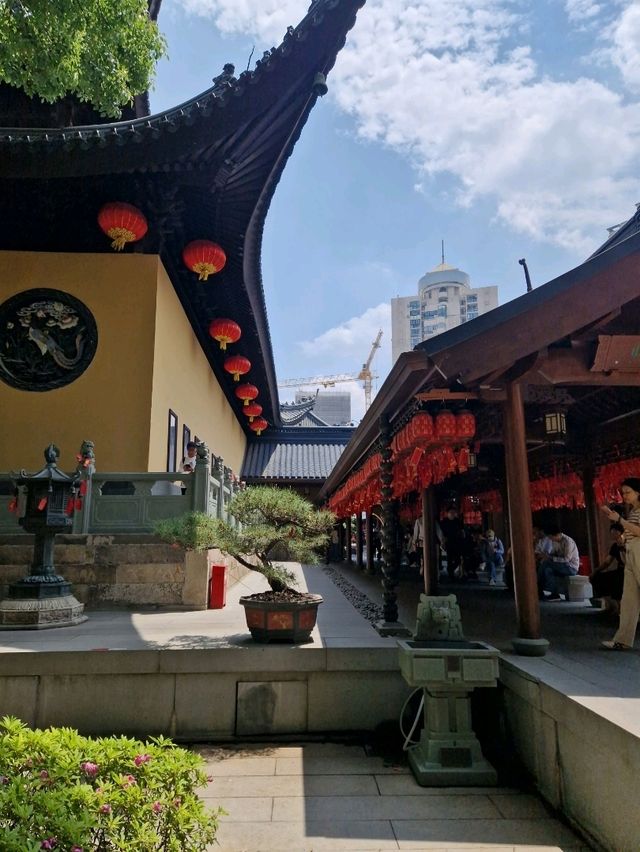 Jade Buddha Calm🌞 | Trip.com Shanghai