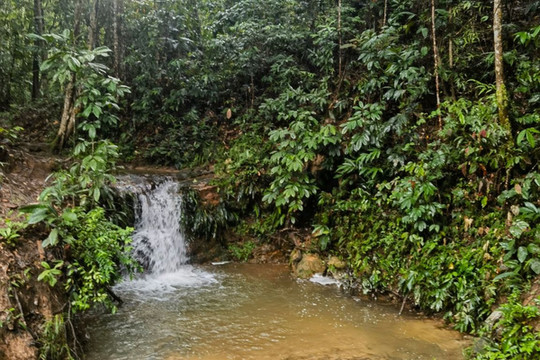 love Brunei Darussalam ( Dadap Hill ) | Trip.com Bandar Seri Begawan