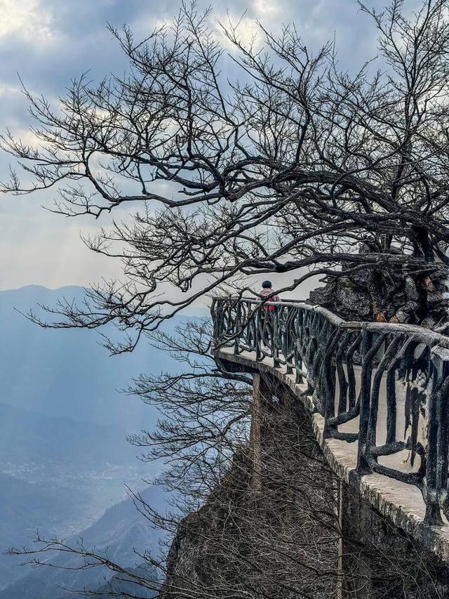 A Breathtaking Adventure in the Heights of Hunan｜Trip.com 湖南