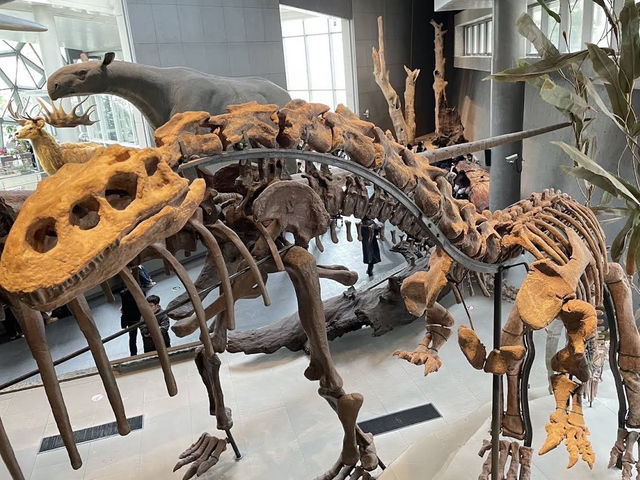 Geology and Minerals | Trip.com Shanghai