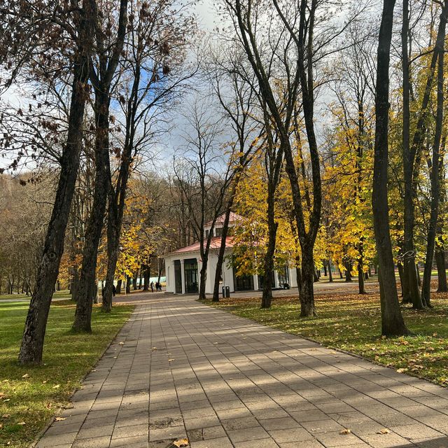 Cool Morning Walk under the Fall foliage 🍂 | Trip.com Vilnius