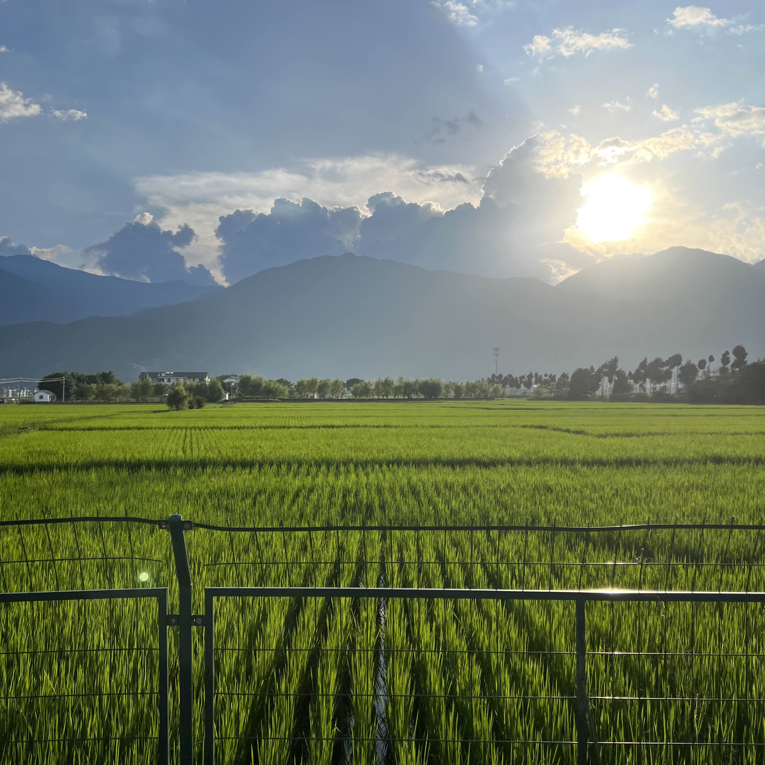 Dali 2023 Top Things to Do - Dali Travel Guides - Top Recommended Dali ...