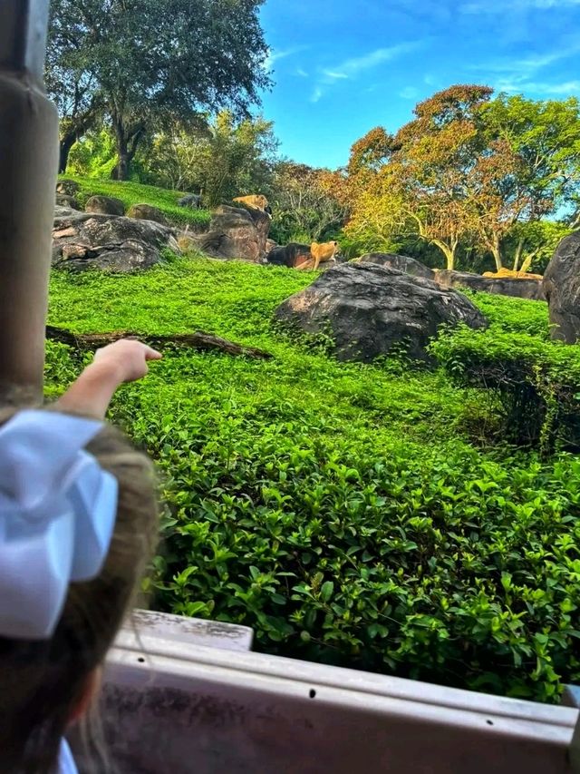 🏰 “Walt Disney World – The Happiest Place on Earth!” | Trip.com Bay Lake
