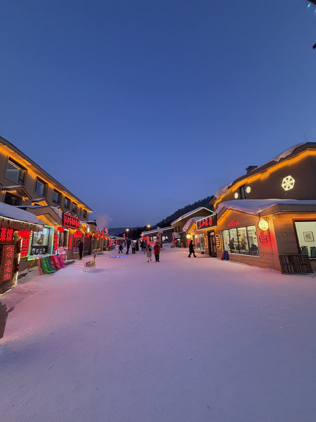 Winter Trip Guide to Harbin in | Trip.com Harbin