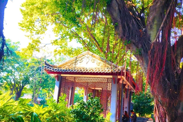 Lingnan Calmness | Trip.com Guangzhou