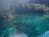 Nature Calm Bliss | Trip.com Jiuzhaigou