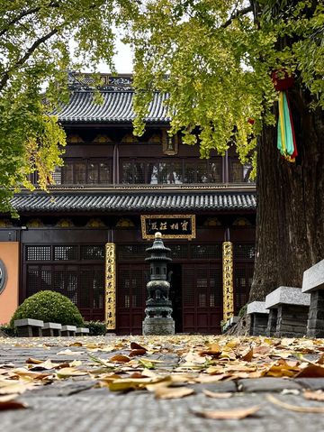 Lesser-known Ginkgo spot| The ancient ginkgo at the Solemn Temple in ...