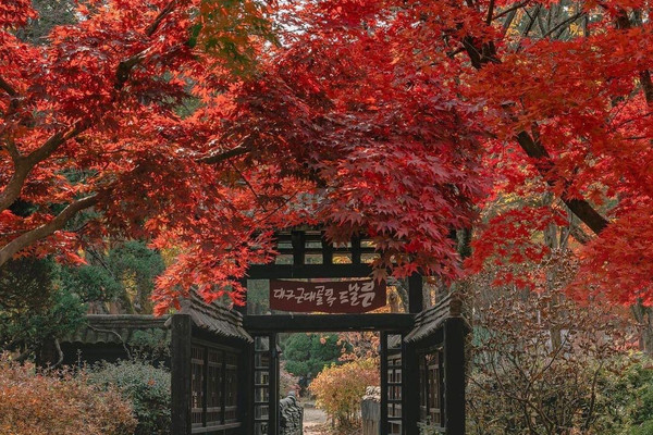 Beautiful Autumn View of Incheon Grand Park | Trip.com Incheon