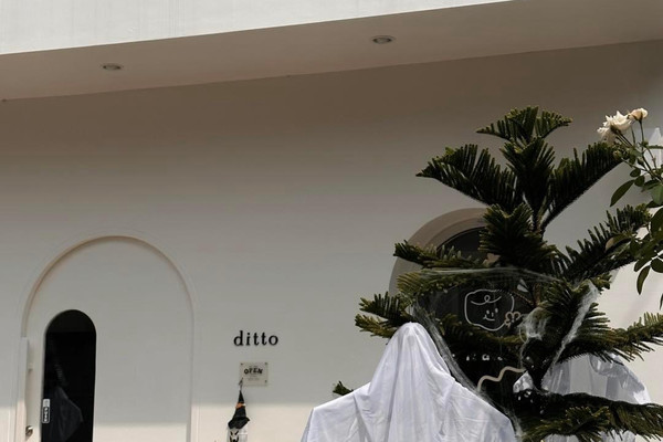 ditto.cafe ย่านเมืองเก่า ขอนแก่น | Trip.com ขอนแก่น