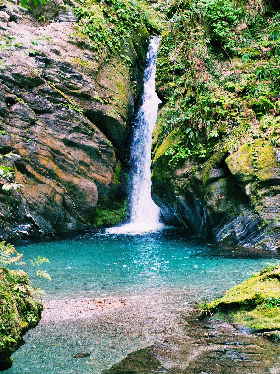 Things to Do in Tosa Town in 2024 - Top Attractions, Local Food, Hotels ...