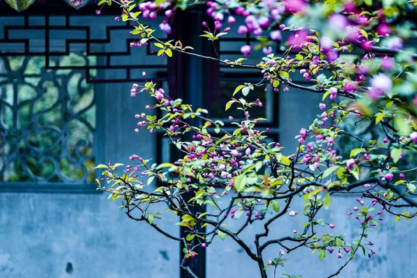 Suzhou Gardens | Trip.com Suzhou