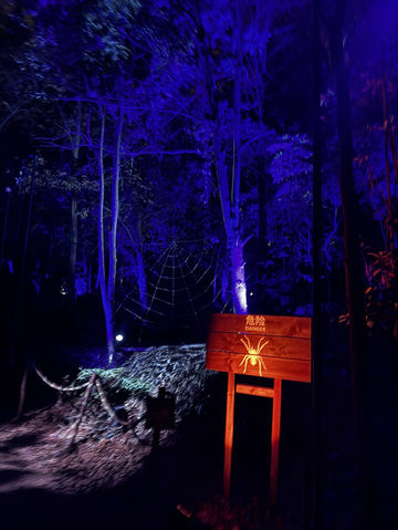 Shenzhen X Harry Potter | Trip.com Shenzhen