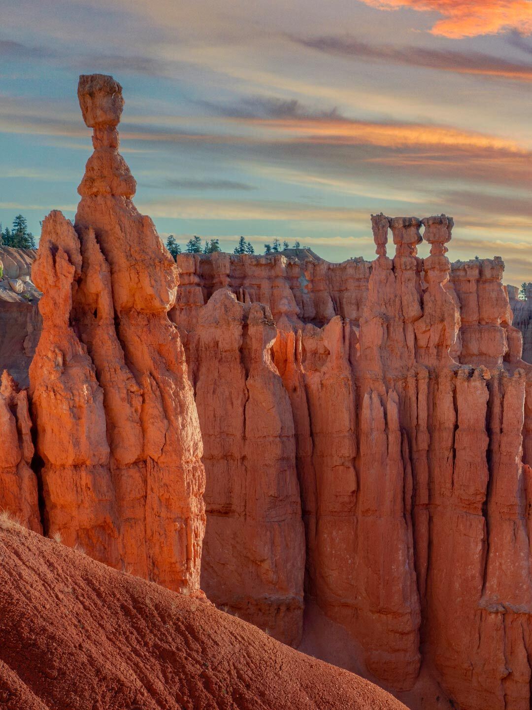 Things to Do in LeChee in 2025 - Top Attractions, Local Food, Hotels ...