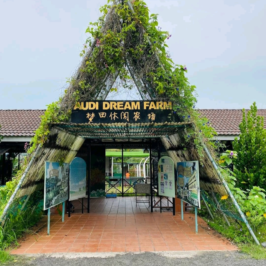 Balik Pulau 2023 Top Things to Do - Balik Pulau Travel Guides - Top ...