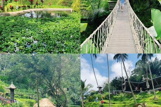 Photo Spots Everywhere: Capture Bali’s Beauty at Alas Harum | Trip.com バリ島