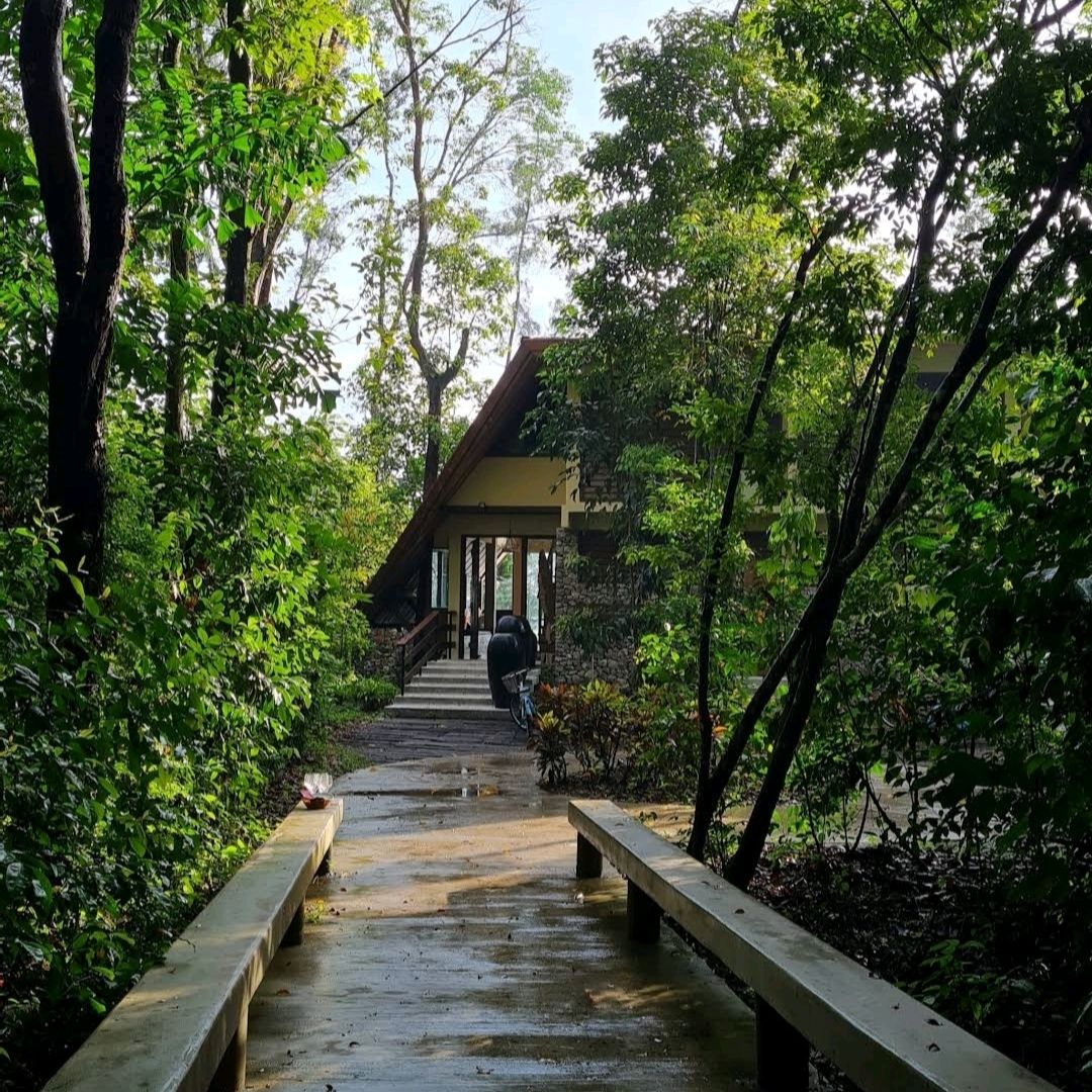 Balok Travel Guide 2024 - Things to Do, What To Eat & Tips | Trip.com