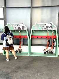 Chengdu: A City of Pandas and Chill Vibes | Trip.com Chengdu