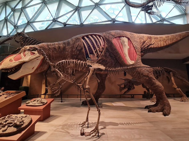 Geology and Minerals | Trip.com Shanghai