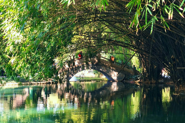 【Chengdu Spring Scenery·Tanghu Park Mystery】Enjoy the begonia feast ...