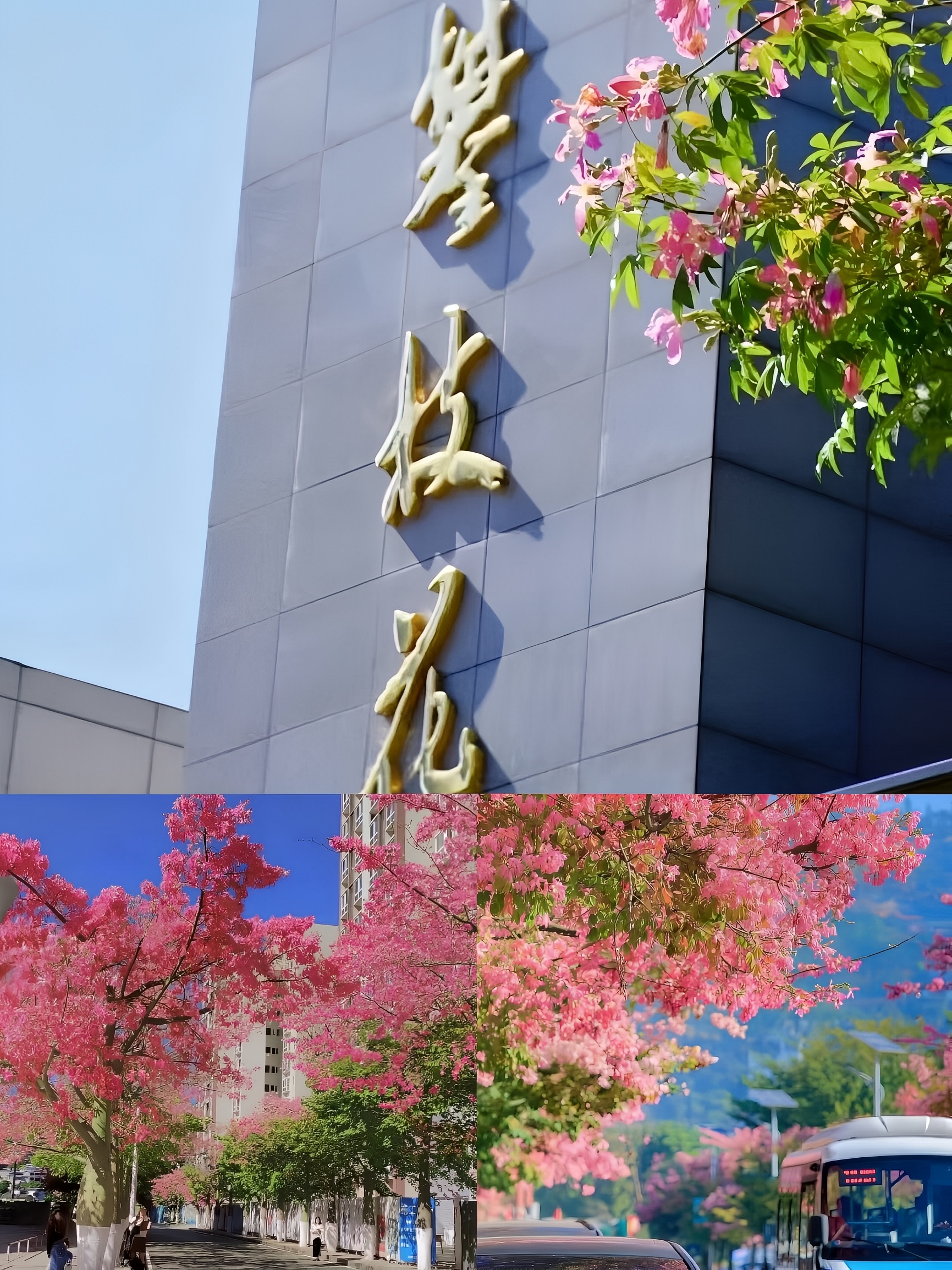 Things to Do in Panzhihua in 2024 - Top Attractions, Local Food, Hotels ...