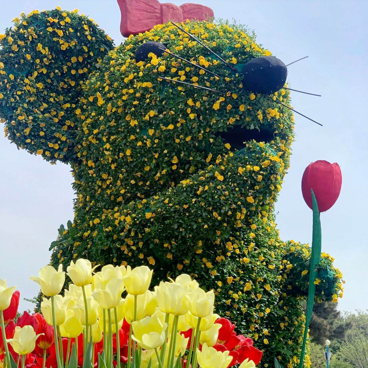 Things to Do in Taean-gun in 2024 - Top Attractions, Local Food, Hotels ...