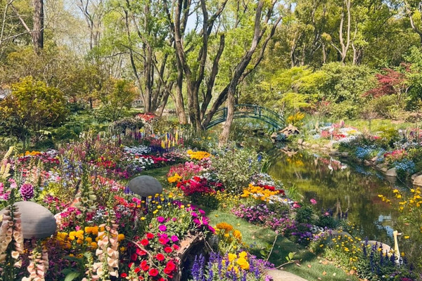 Gongqing Forest Park – A Natural Retreat in Shanghai | Trip.com Shanghai
