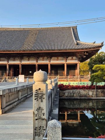 ️ Osaka in Winter: Cozy Vibes and Bright Nights | Trip.com Osaka