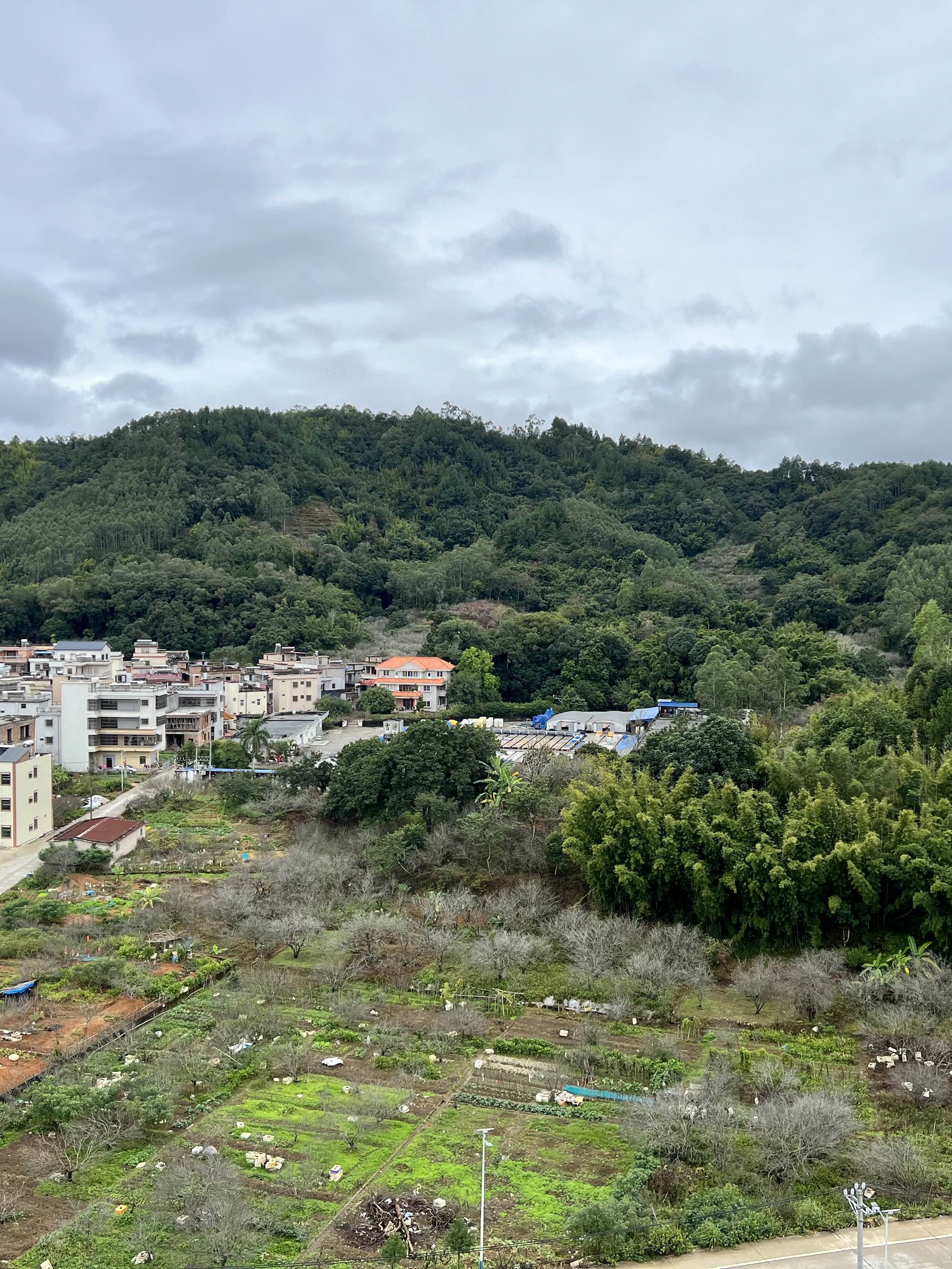 Jieyang Travel Guide 2024 - Things to Do, What To Eat & Tips | Trip.com