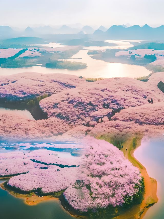 Pingba Farm Cherry Blossom Garden | Trip.com Anshun