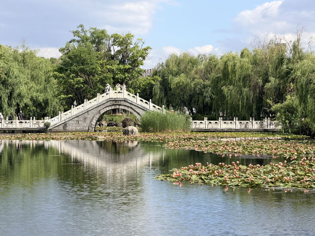 Enjoy peaceful solo travel and gentle views in Dali | Trip.com Dali City