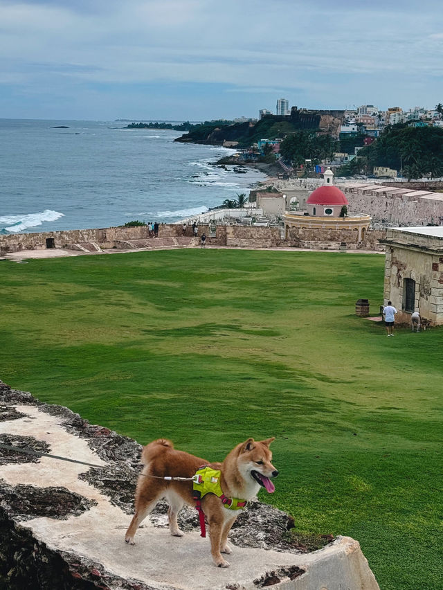 Old San Juan, Puerto Rico Guide 🏛 🇵🇷 | Trip.com Puerto Rico