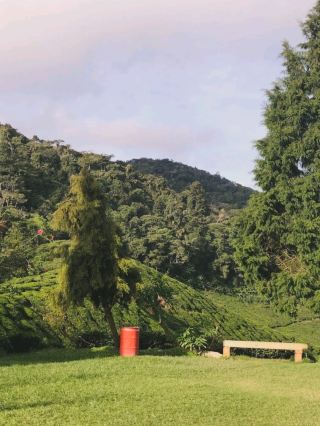 Ulu Telom Travel Guide 2026: Top Attractions, Things to Do & Deals ...