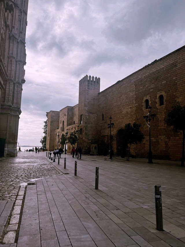 Discover the Breathtaking Corners of Palma Cathedral 🇪🇸 | Trip.com ...