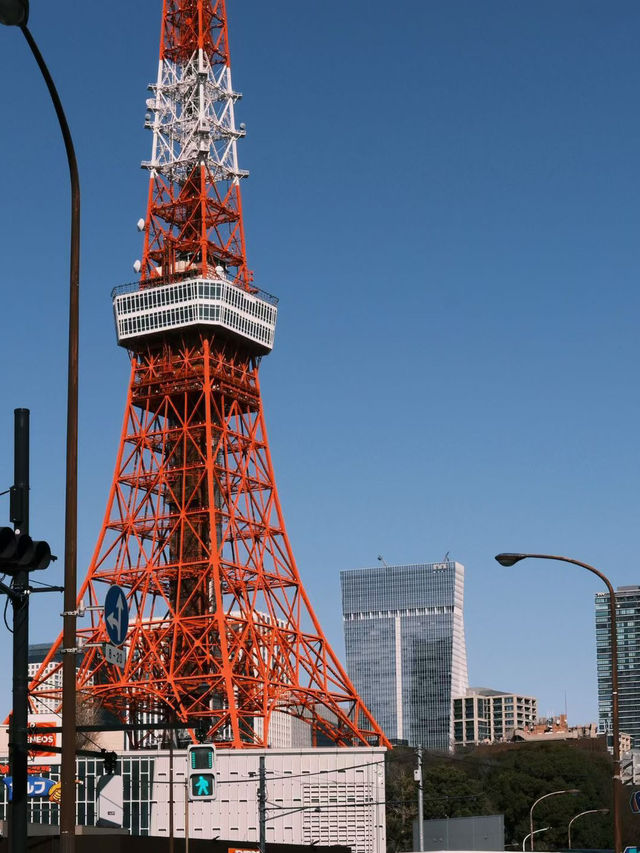 Tower Moments in Tokyo🗼Tokyo Tower in Winter: Iconic Glow of the ...