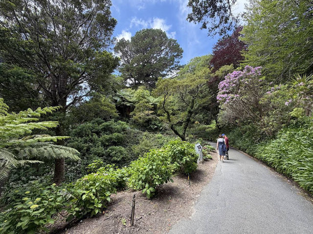 Wellington Botanic Garden | Trip.com Wellington