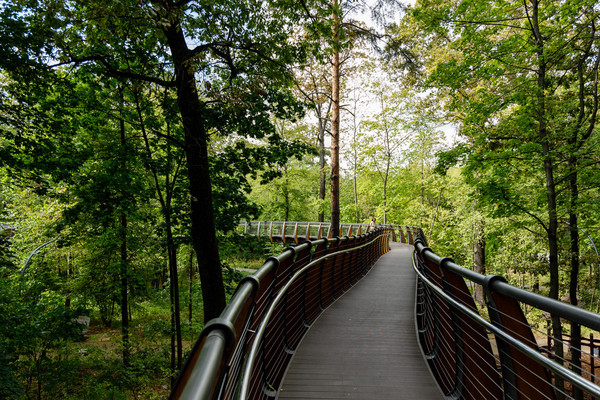 You climb a couple of meters and it's a different VDNKh. | Trip.com Moscow