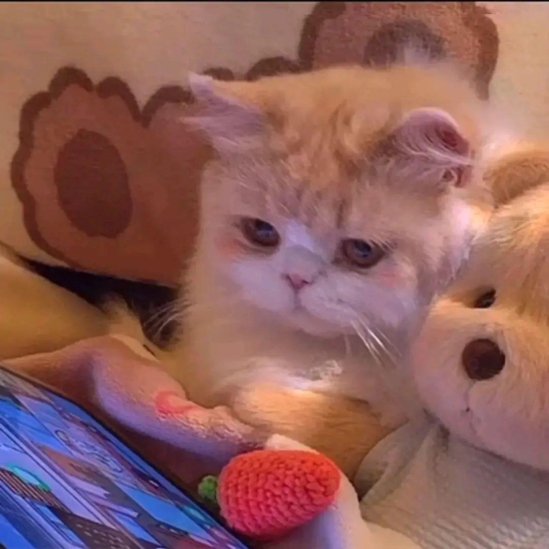 Things to Do in Chuzhou in 2024 - Top Attractions, Local Food, Hotels ...